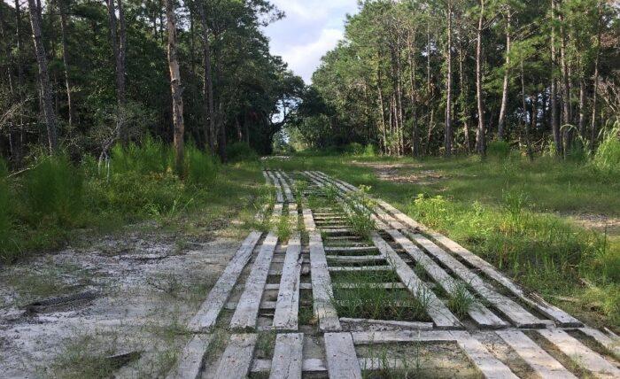 T&H Wins APWA SC Chapter State Award - Thomas & Hutton